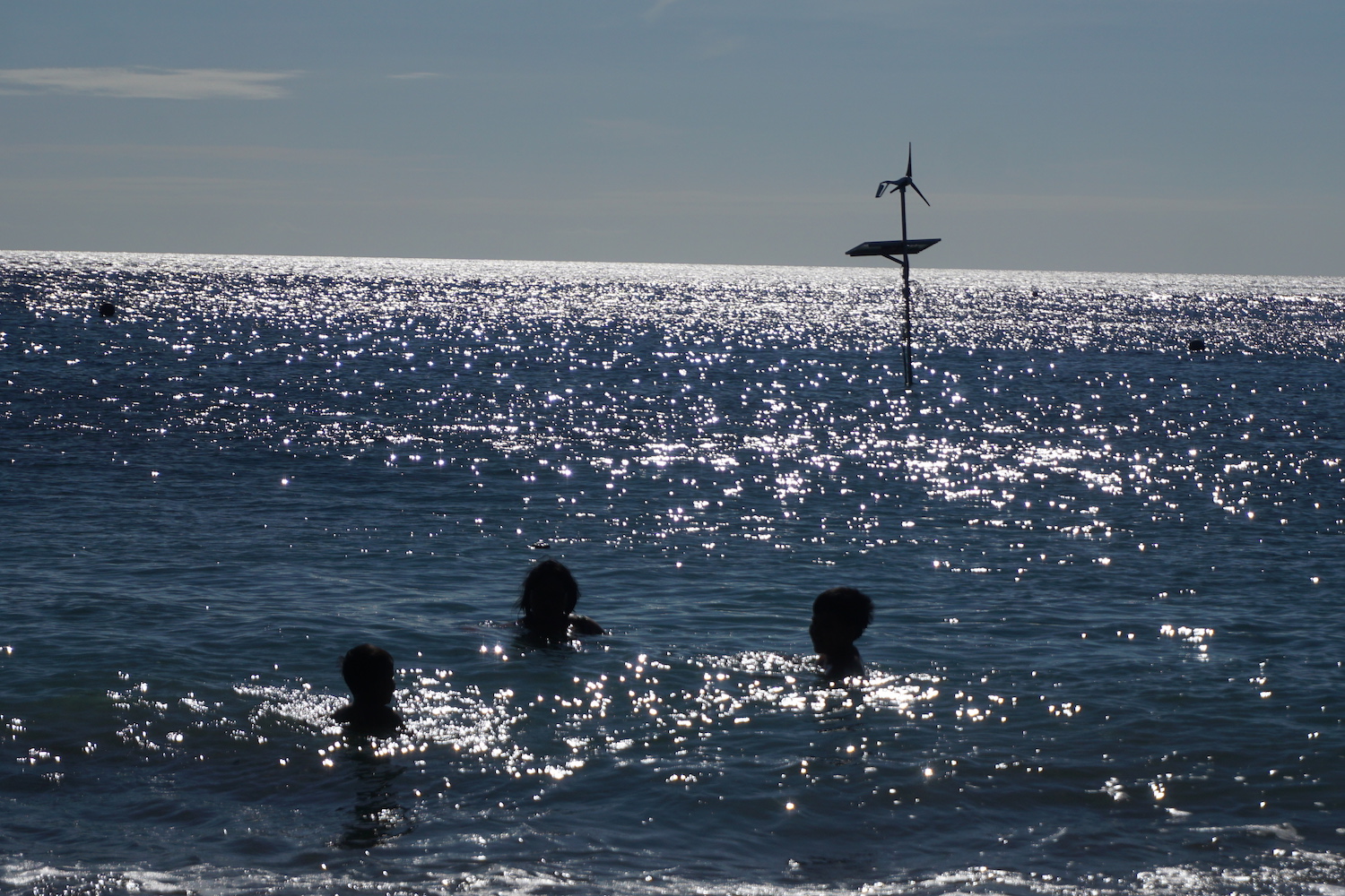 The Biorock Revolution: Restoring Coral Reefs in Pemuteran, Bali - The ...