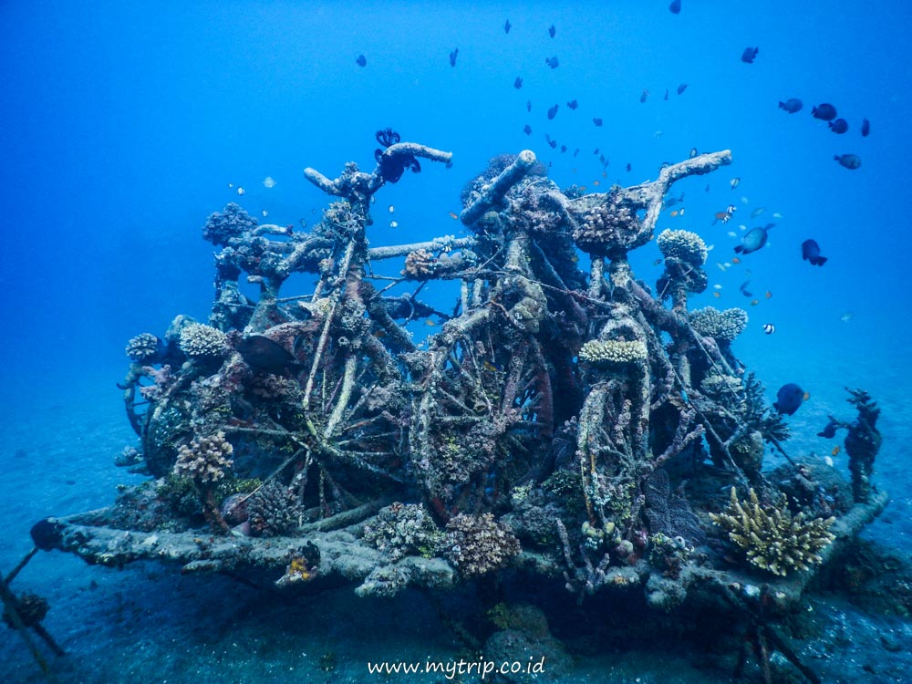 The Biorock Revolution: Restoring Coral Reefs in Pemuteran, Bali - The ...