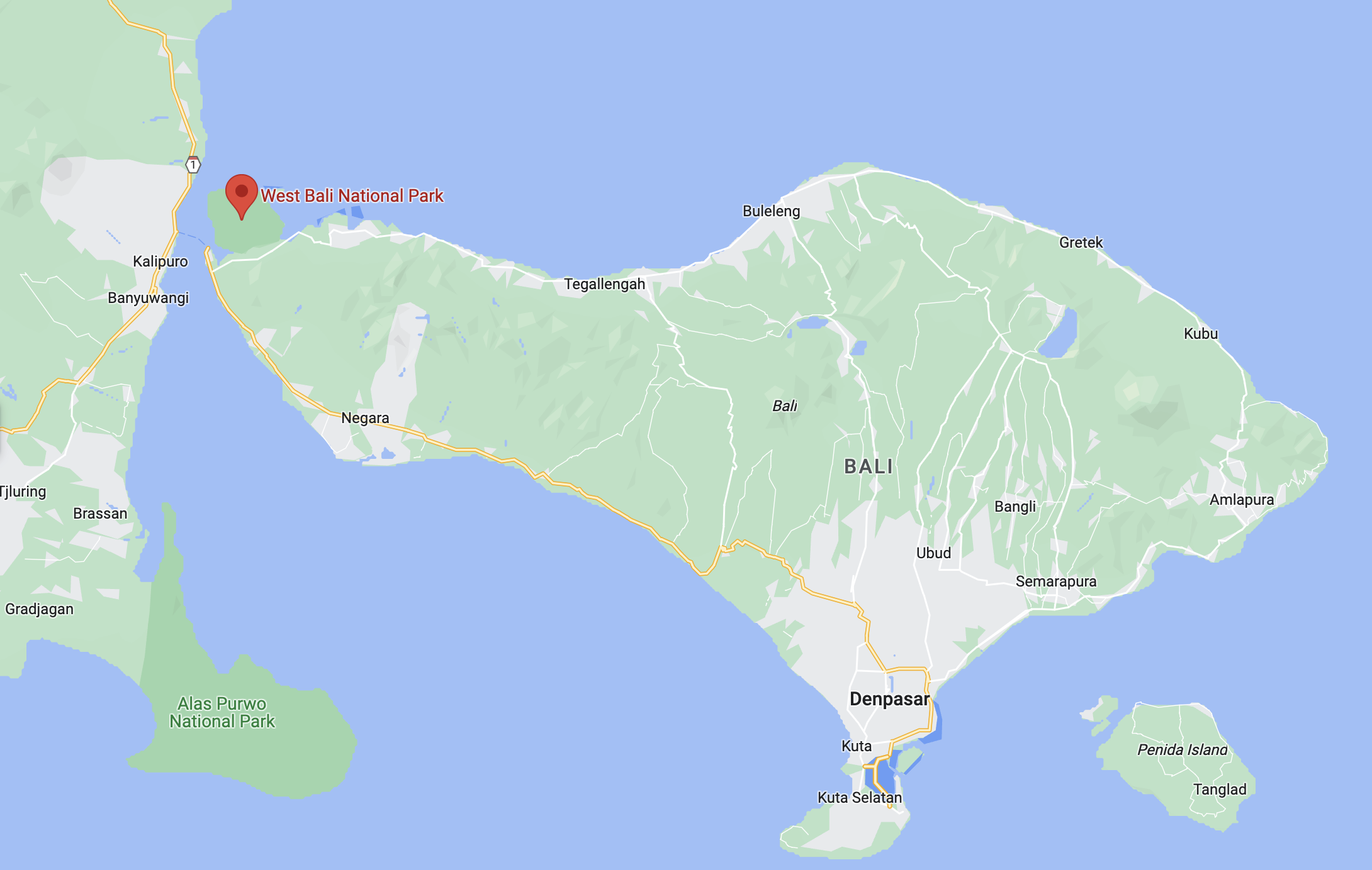 West Bali National Park Comprehensive Guide: Trekking, Snorkeling & Bali Starling Conservation ...