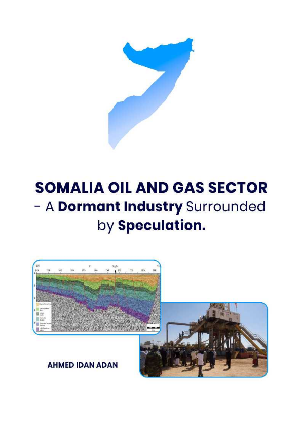 Somalia Oil and Gas Sector: A dormant industry surrounded by ...