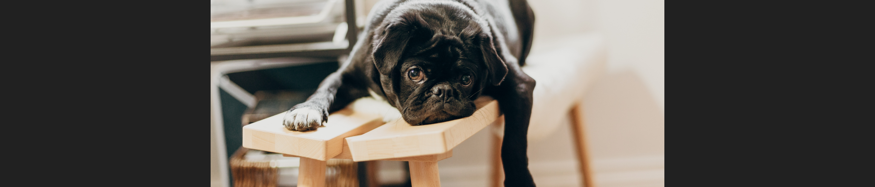 Bored Pack, extend Coda with Bored - Coda Bored Pack, extend Coda with Bored - Coda